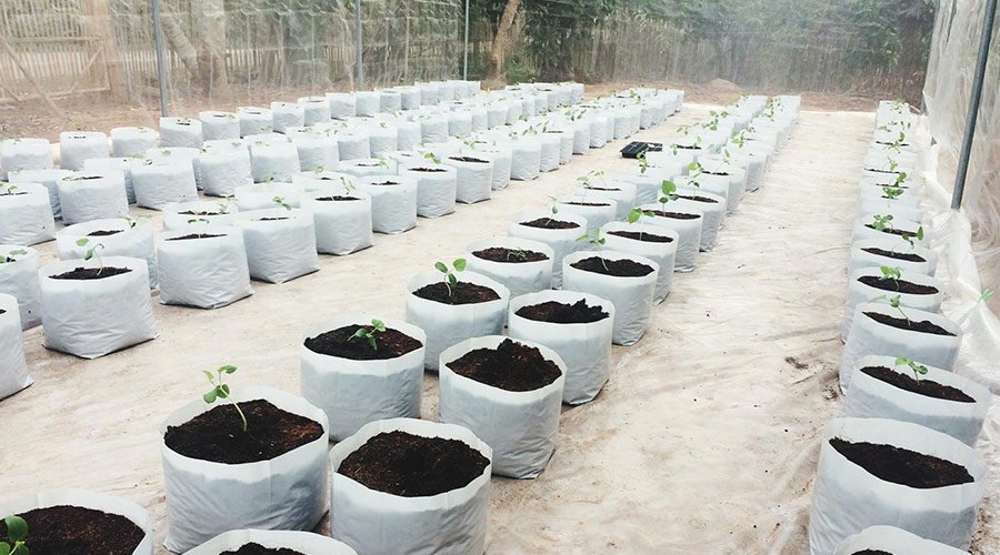 Agricultural Fertilizer Project Launched in Balkh – KBIC